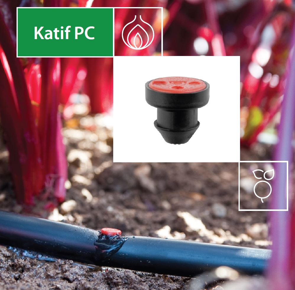 Katif – Evergreen Co.,Ltd